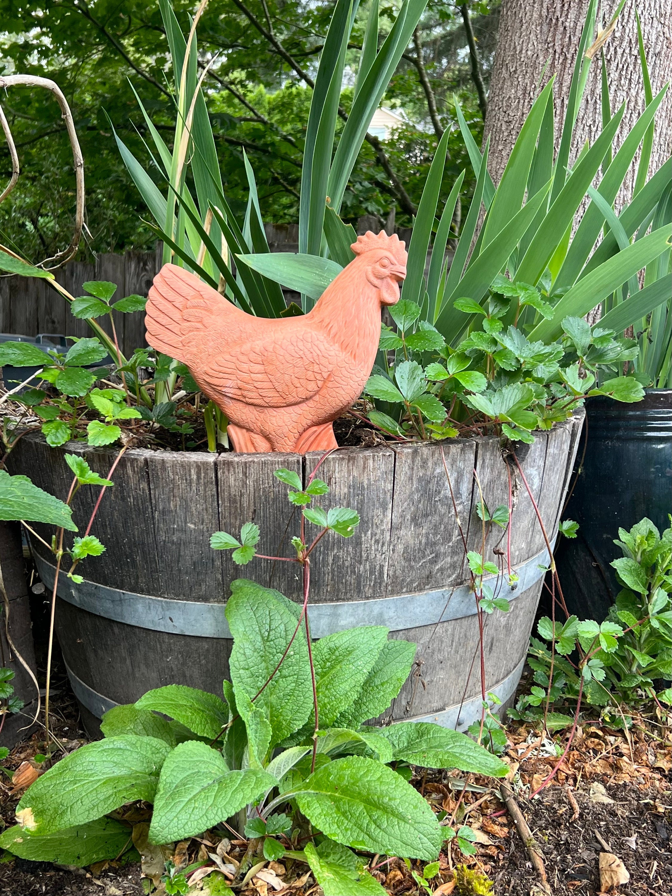 Terracotta Chicken for Garden Decoration - Etsy