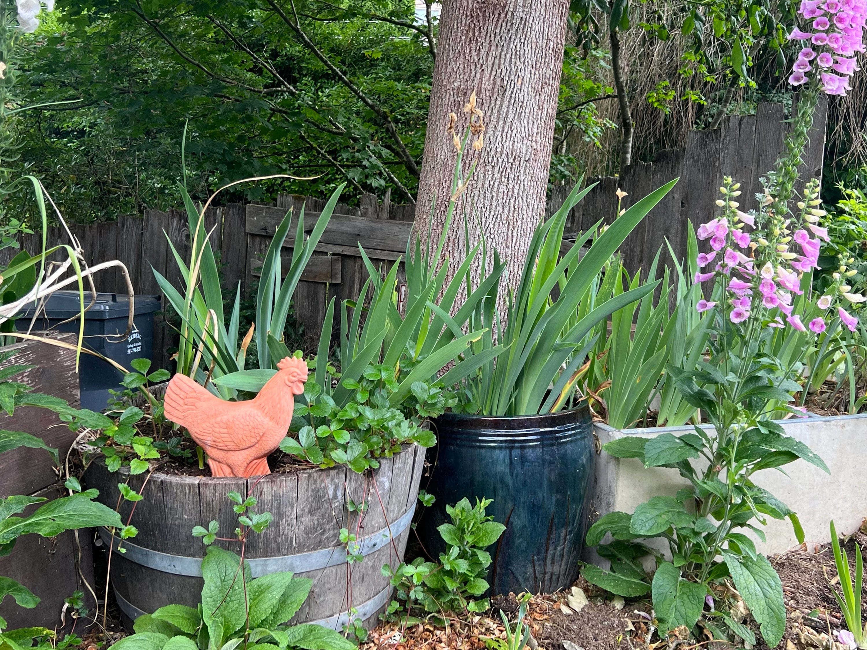 Terracotta Chicken for Garden Decoration - Etsy