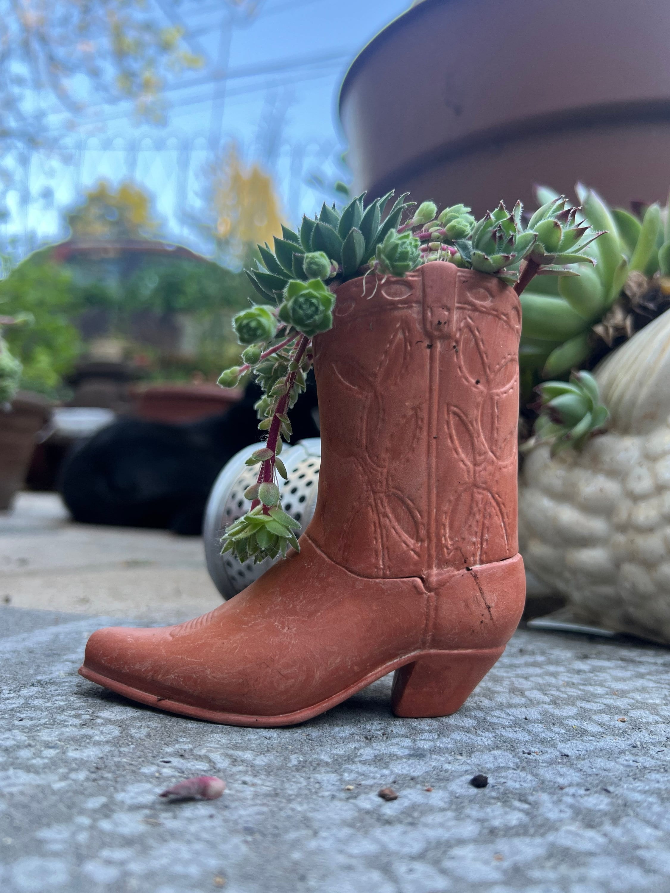 Cowgirl Boot Terracotta Planter - Etsy