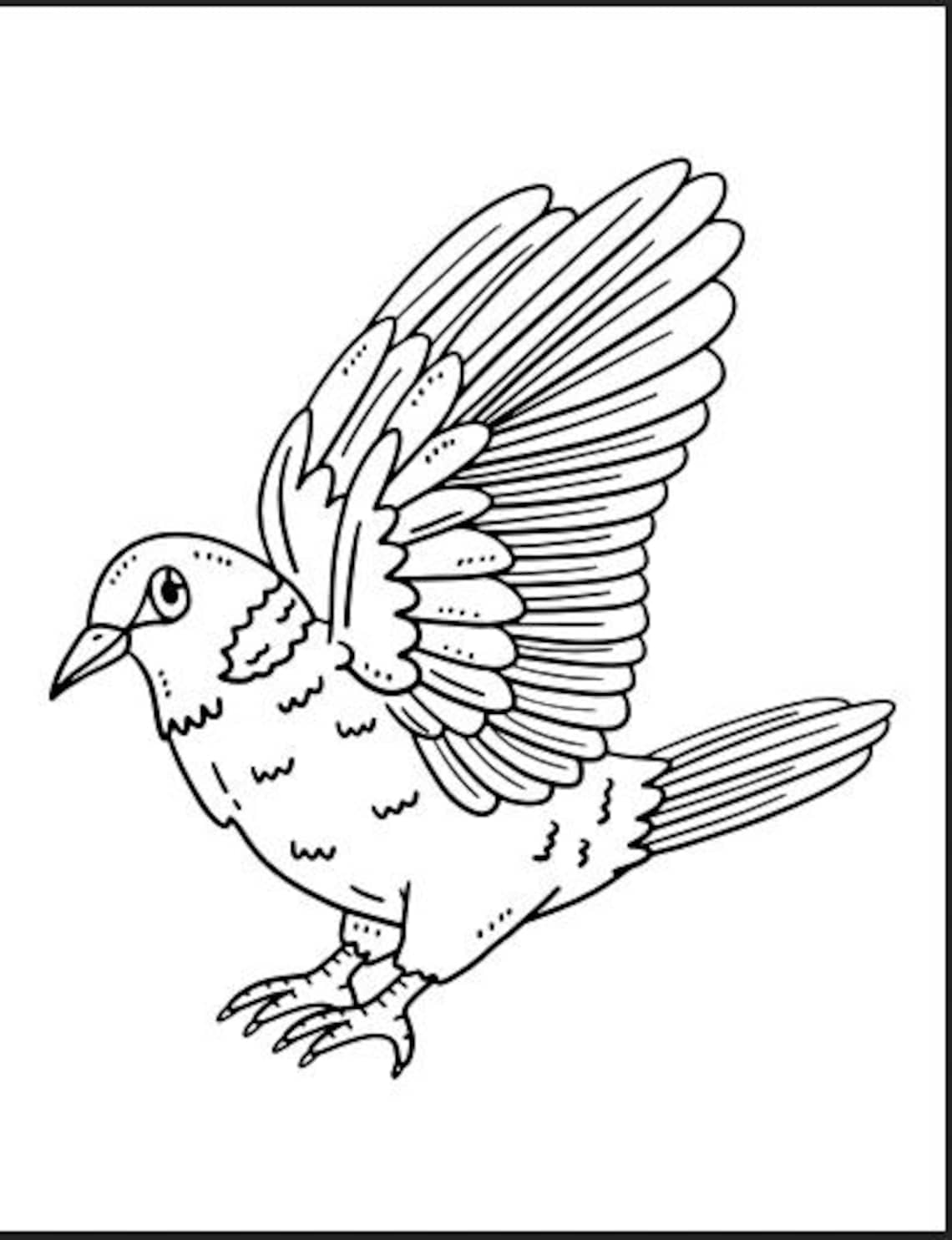 Printable Bird Coloring Pages: Parrot & Songbird Art (instant Download ...