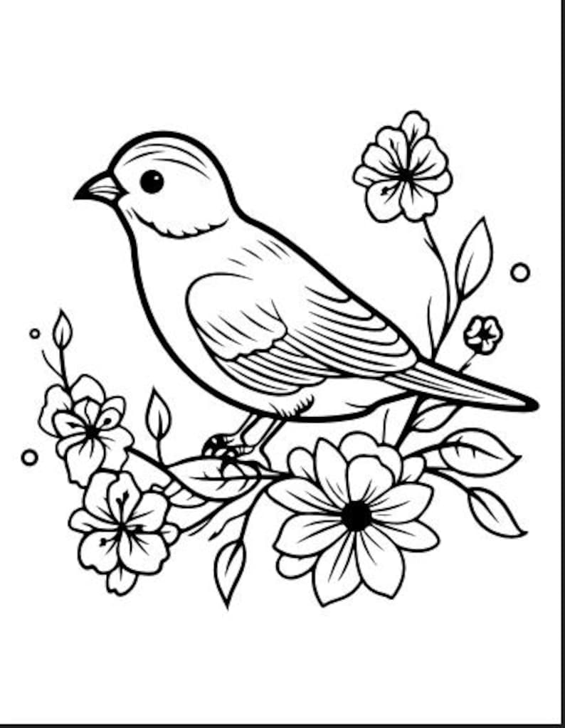 Printable Bird Coloring Pages: Parrot & Songbird Art (instant Download ...