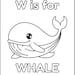 Alphabet Zoo Coloring Pages – Fun A to Z Animals for Kids to Color! - Etsy