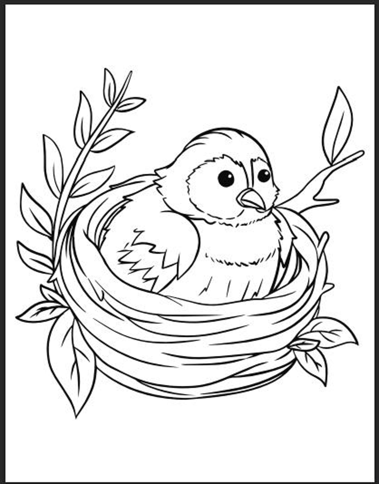 Printable Bird Coloring Pages: Parrot & Songbird Art (instant Download ...