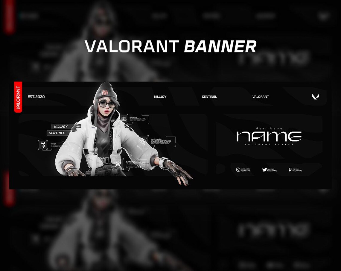 CUSTOM BANNER! | Valorant Killjoy Banner for Twitter, Twitch, Kick ...