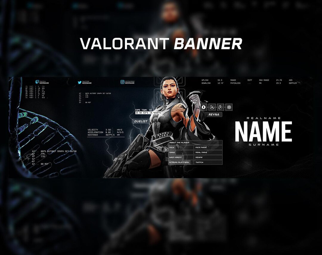 CUSTOM BANNER! | Valorant REYNA Banner for Twitter, Twitch, Kick ...