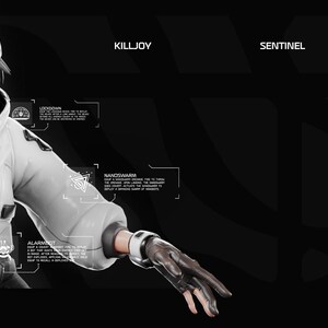 CUSTOM BANNER! | Valorant Killjoy Banner for Twitter, Twitch, Kick ...