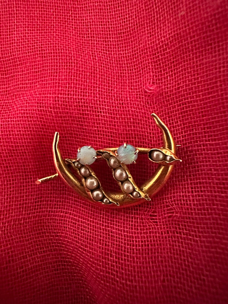 6 Victorian 14K Gold Pins. Enameled, Seed Pearls or Opals. Each One in ...