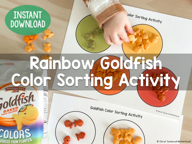 Rainbow Goldfish Color Sorting Activity - Etsy