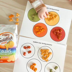 Rainbow Goldfish Color Sorting Activity - Etsy