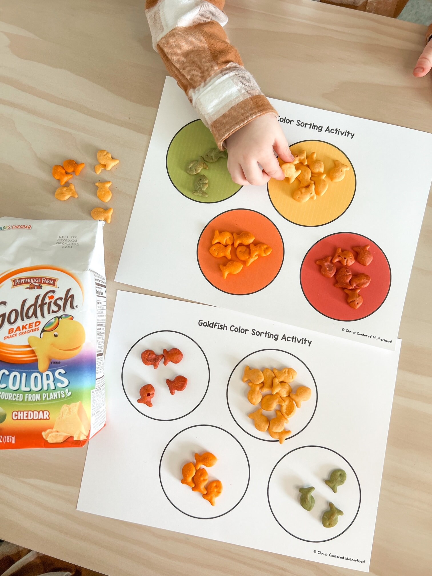 Rainbow Goldfish Color Sorting Activity - Etsy