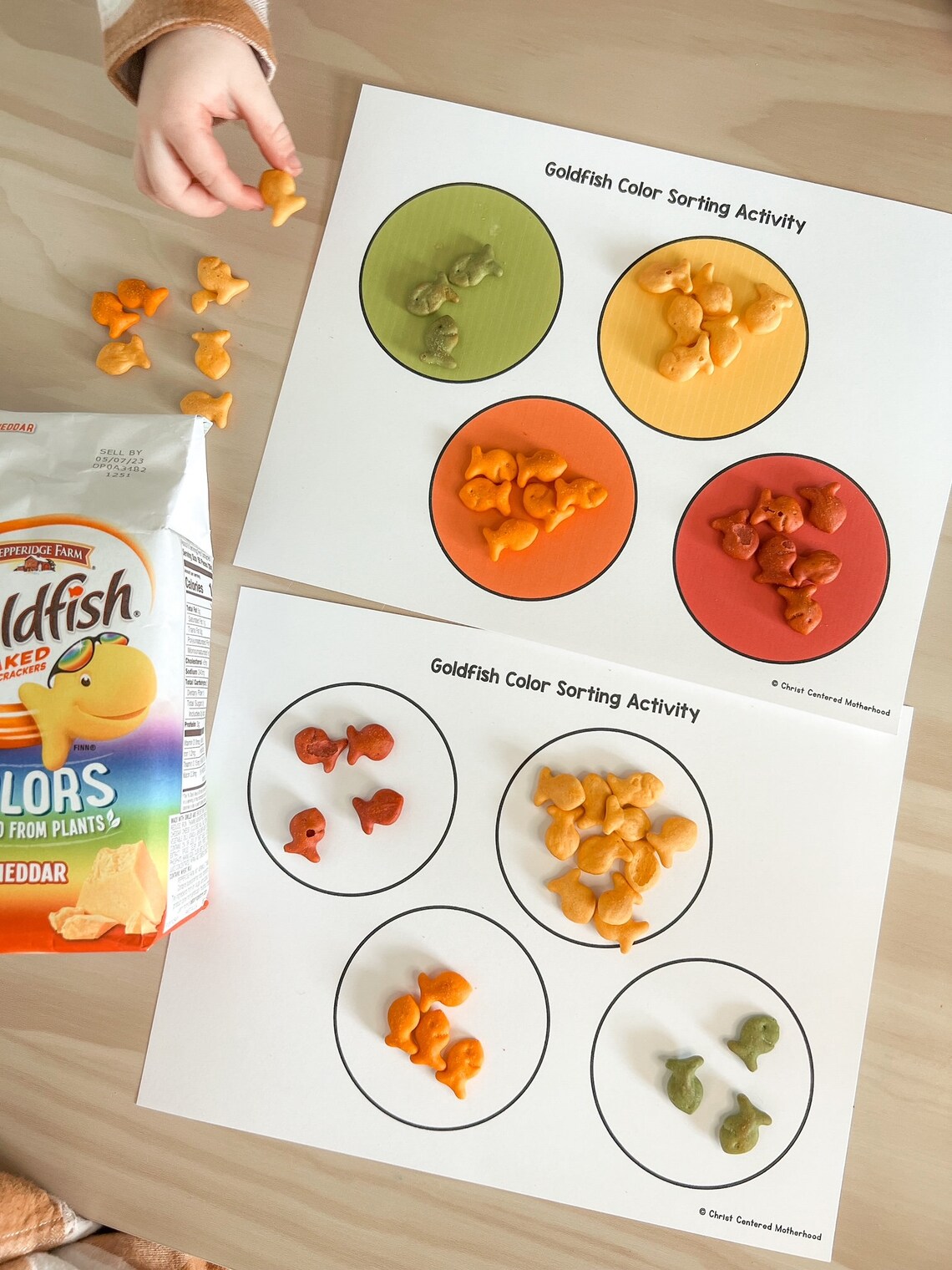 Rainbow Goldfish Color Sorting Activity - Etsy