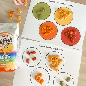 Rainbow Goldfish Color Sorting Activity - Etsy