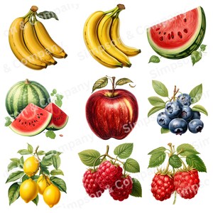 35 PNG Farmer's Market Fruit Clipart, Food Clipart, Fruit Clip Art ...