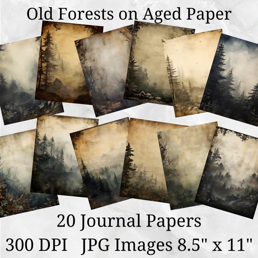 20 Old Forests on Aged Paper Journal Paper, Digital Paper JPEG, 8.5" X ...
