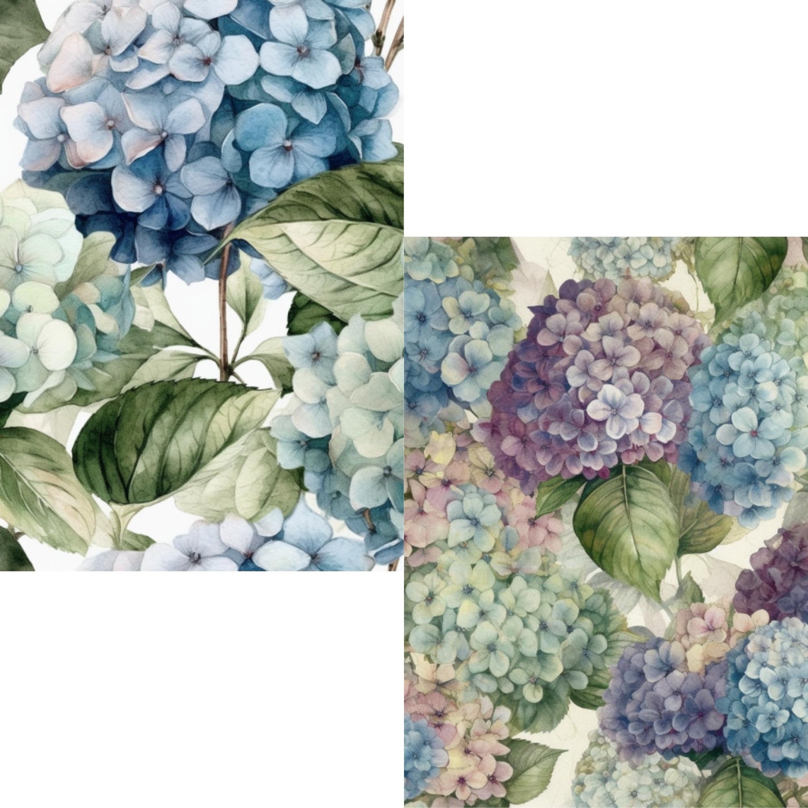 12 Watercolor Hydrangeas Digital Papers, JPEG, 12 X 12, Scrapbook Paper ...