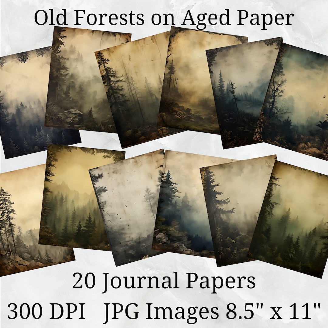 20 Old Forests on Aged Paper Journal Paper, Digital Paper JPEG, 8.5 X ...