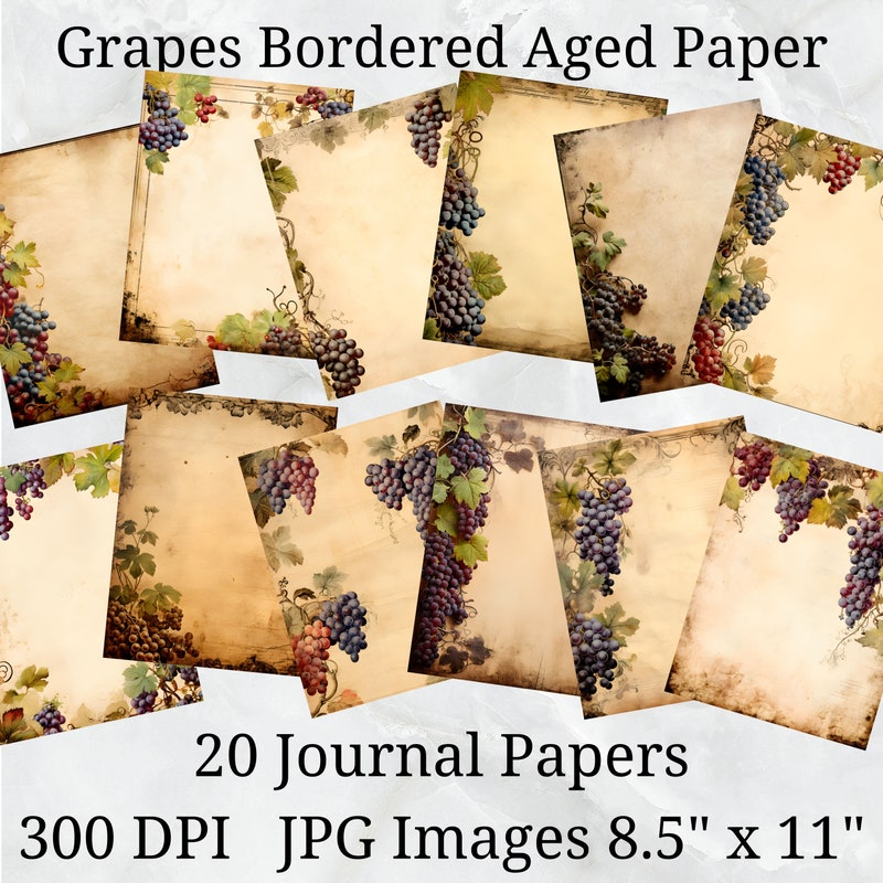 Grapes Wallpaper - Etsy