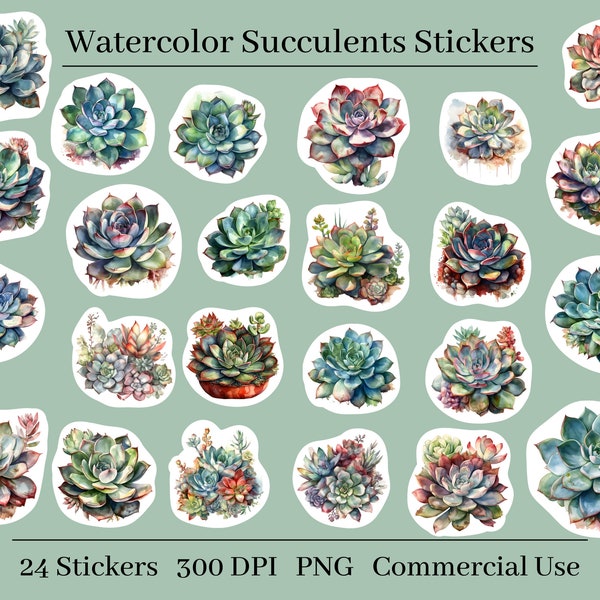 Succulents - Etsy
