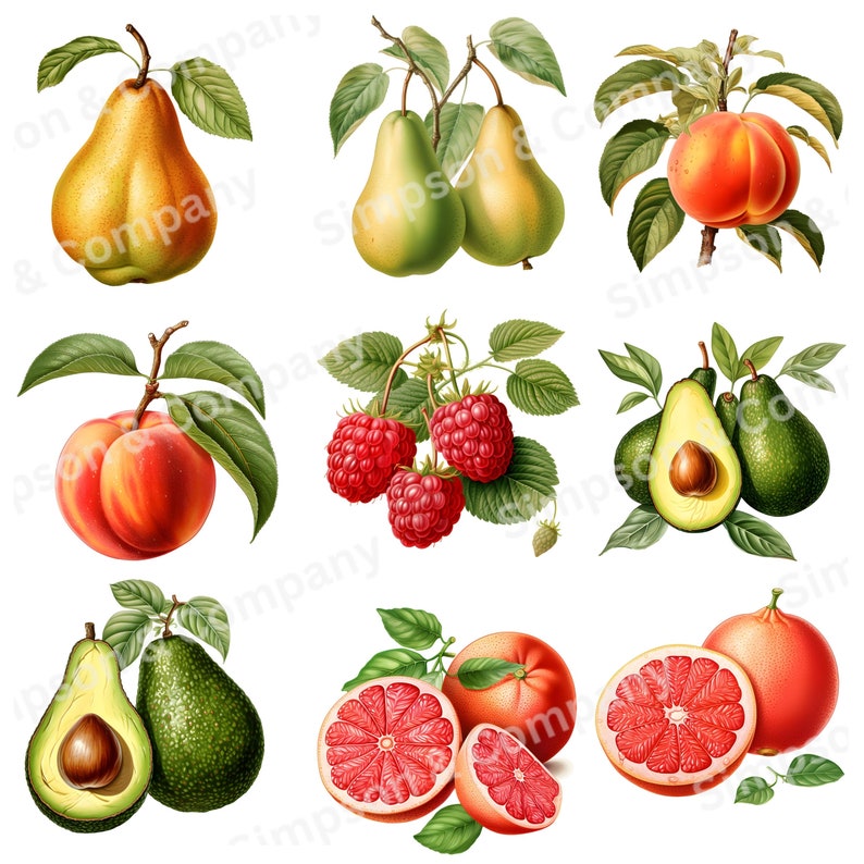 35 PNG Farmer's Market Fruit Clipart, Food Clipart, Fruit Clip Art ...