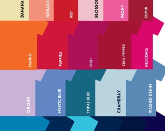 Large World Traveler Sticker Covered Large Suitcase Luggage Favor Gift ...