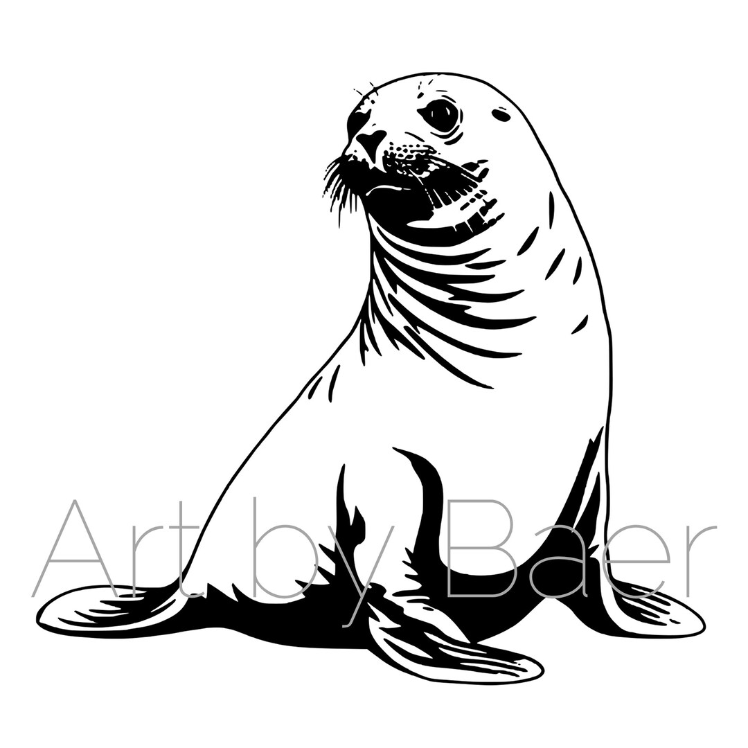 Seal Svg Digital Download Png Svg Seal Svg Seal Silhouette Cutting Machine Print At