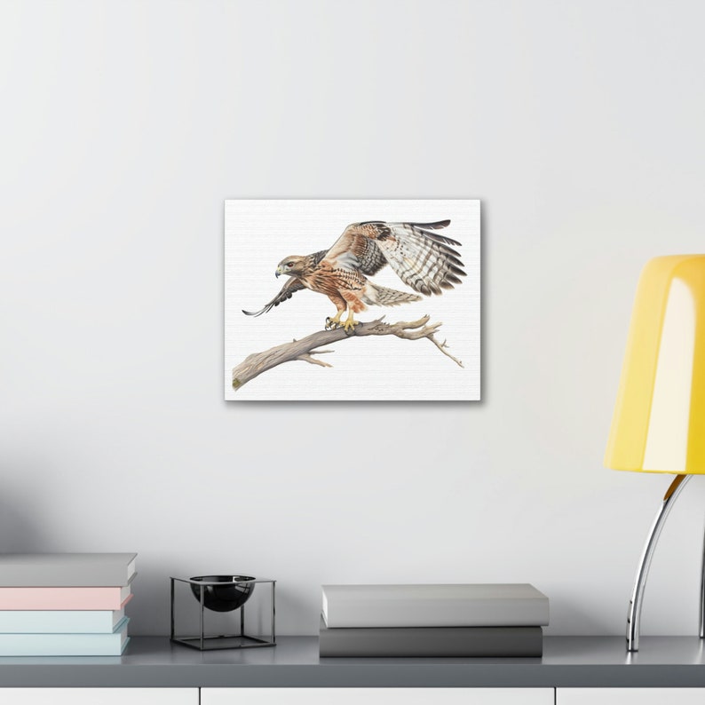 Watercolor of a Red-tailed Hawk in Flight. Outdoors, Gift, Home Decor ...