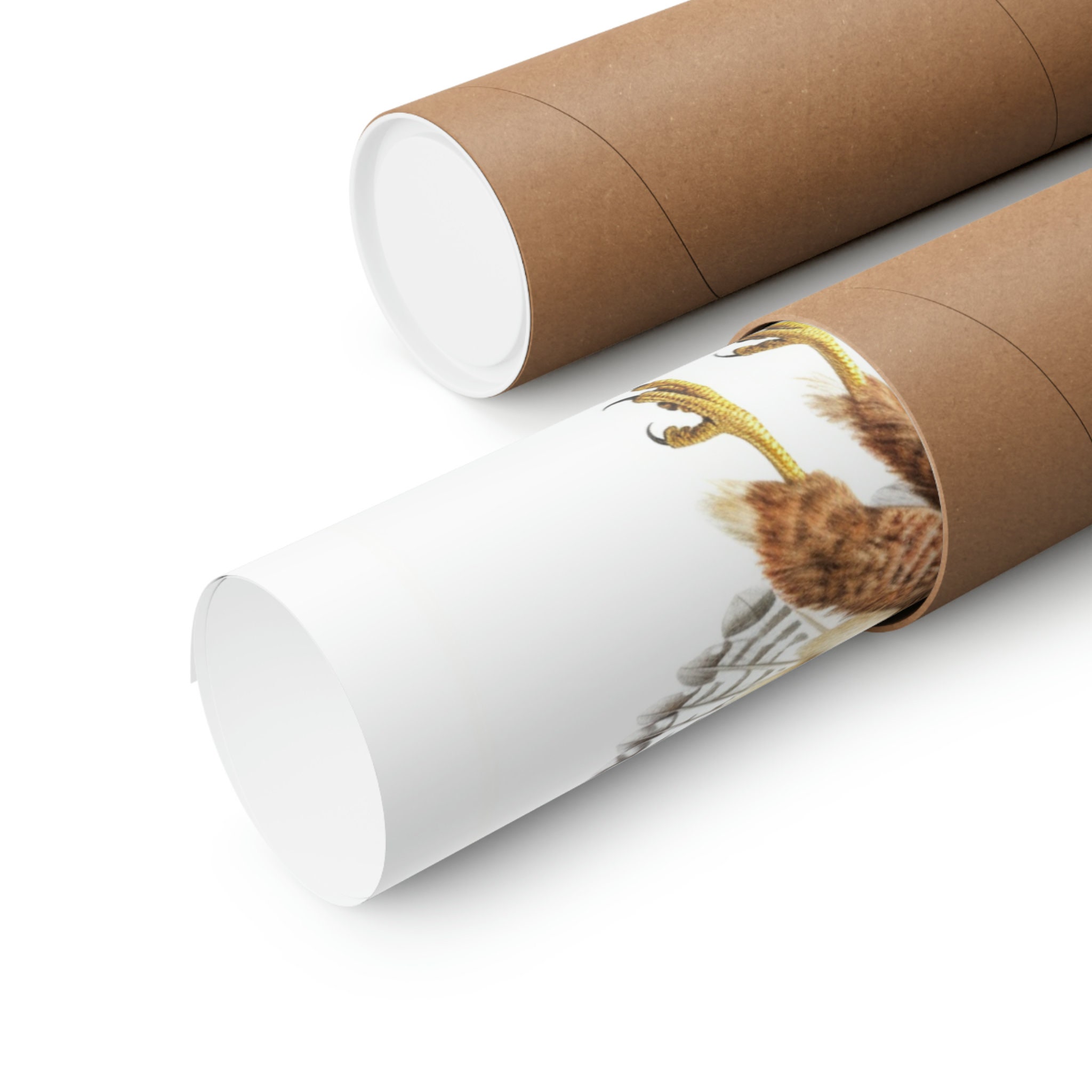 Red-tailed Hawk in Flight - Matte Vertical Poster, Wall Art, Wall ...