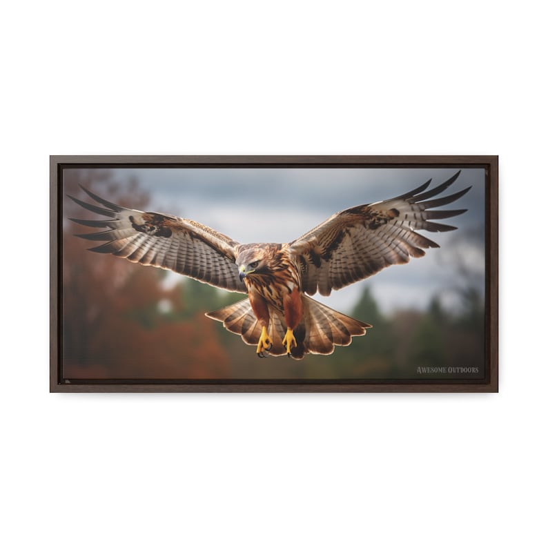 Red Tailed Hawk, Wall Art, Wildlife Art, Hawk, Gift, Gift for Him, Gift ...