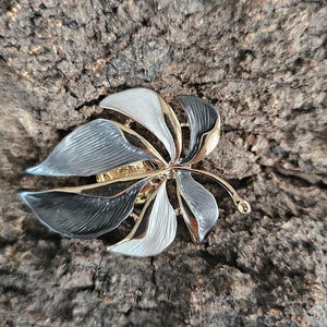 Brooch without pin store