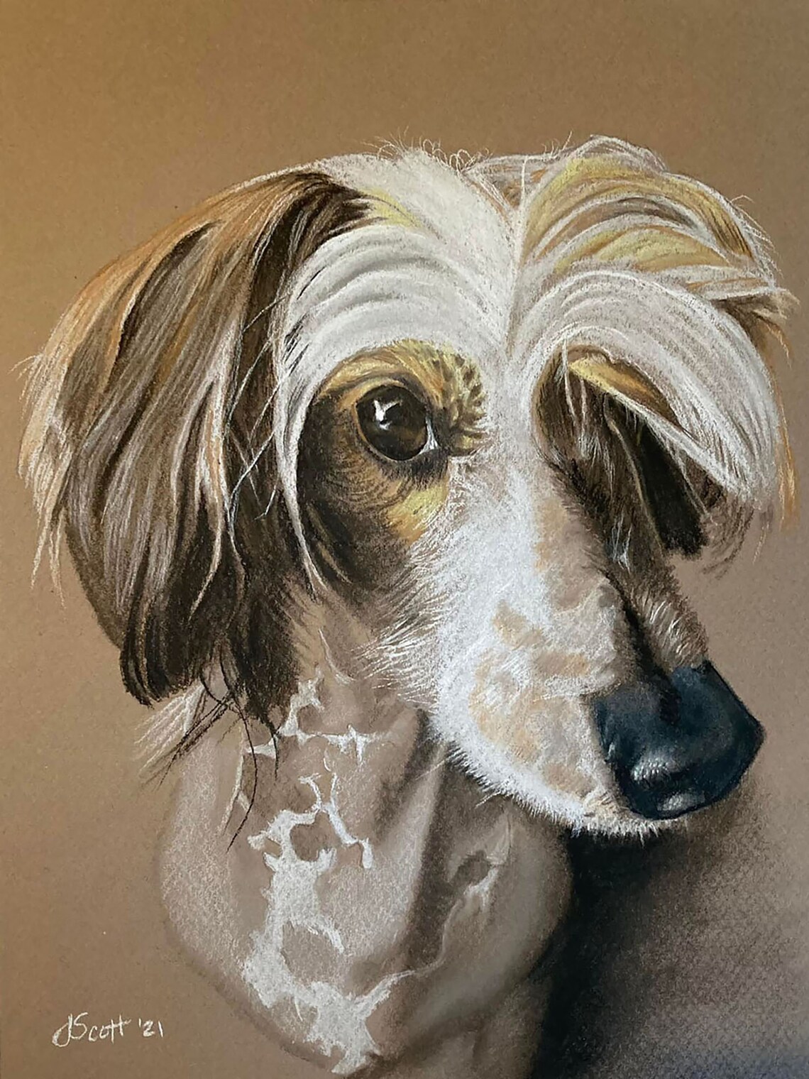 Hand Drawn Pet Portrait, Pet Portrait, Pet Memorial, Dog Portrait, Cat ...