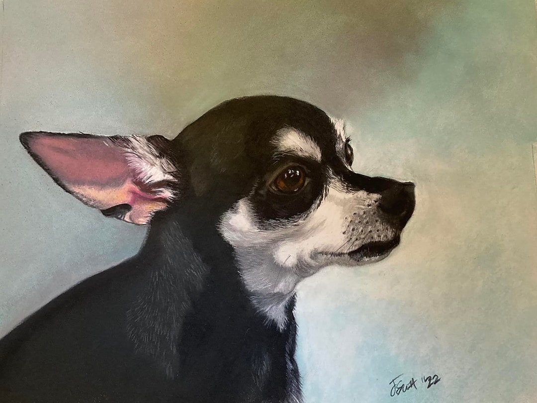 Hand Drawn Pet Portrait, Pet Portrait, Pet Memorial, Dog Portrait, Cat ...