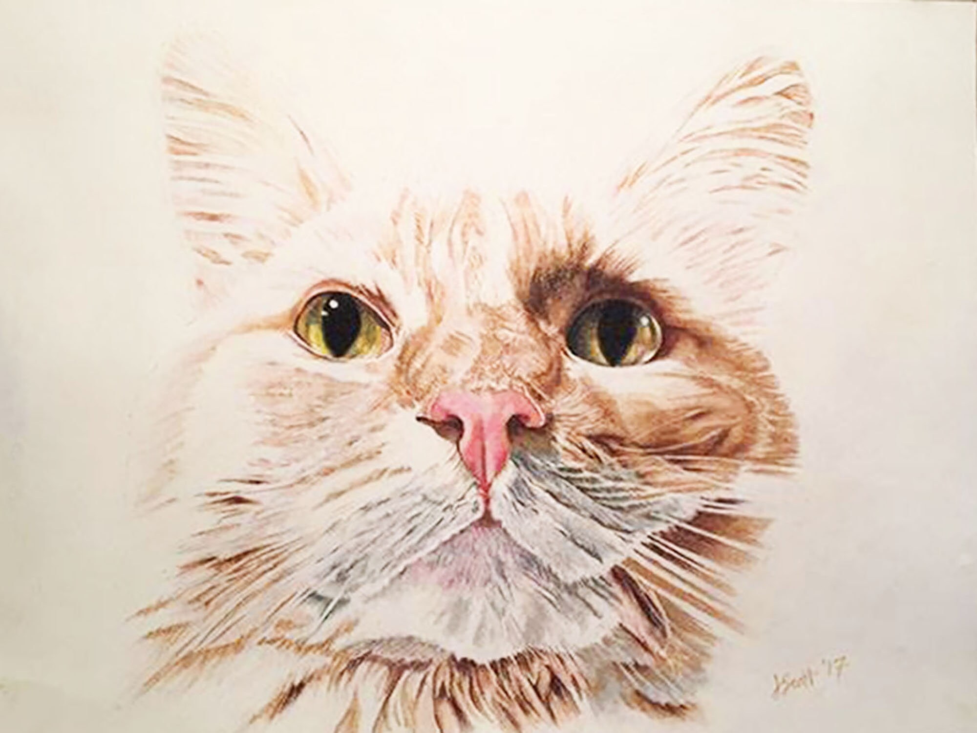 Hand Drawn Pet Portrait, Pet Portrait, Pet Memorial, Dog Portrait, Cat ...