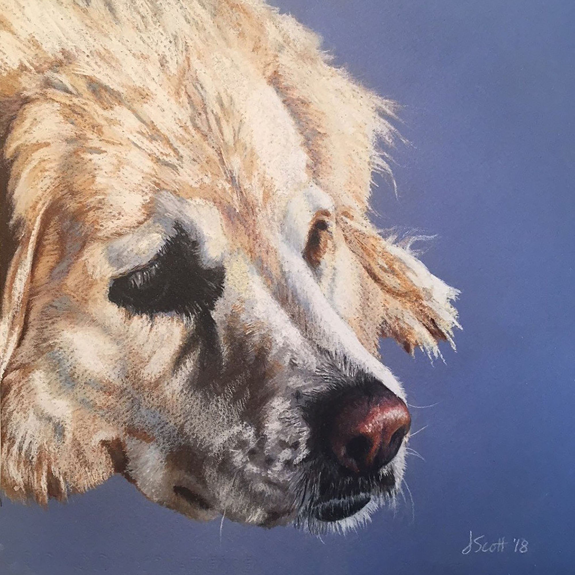 Hand Drawn Pet Portrait, Pet Portrait, Pet Memorial, Dog Portrait, Cat ...