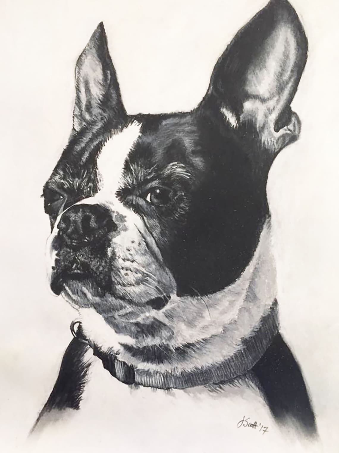 Hand Drawn Pet Portrait, Pet Portrait, Pet Memorial, Dog Portrait, Cat ...