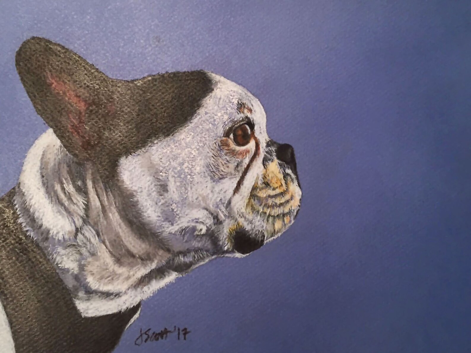 Hand Drawn Pet Portrait, Pet Portrait, Pet Memorial, Dog Portrait, Cat ...