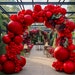 Red Balloons Double Stuffed Red Balloons Different Sizes Latex Ruby Red ...