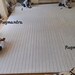 Modern Handmade 12x18 Fine Ivory Curve Embossed Cut Tufted Area Rug for ...