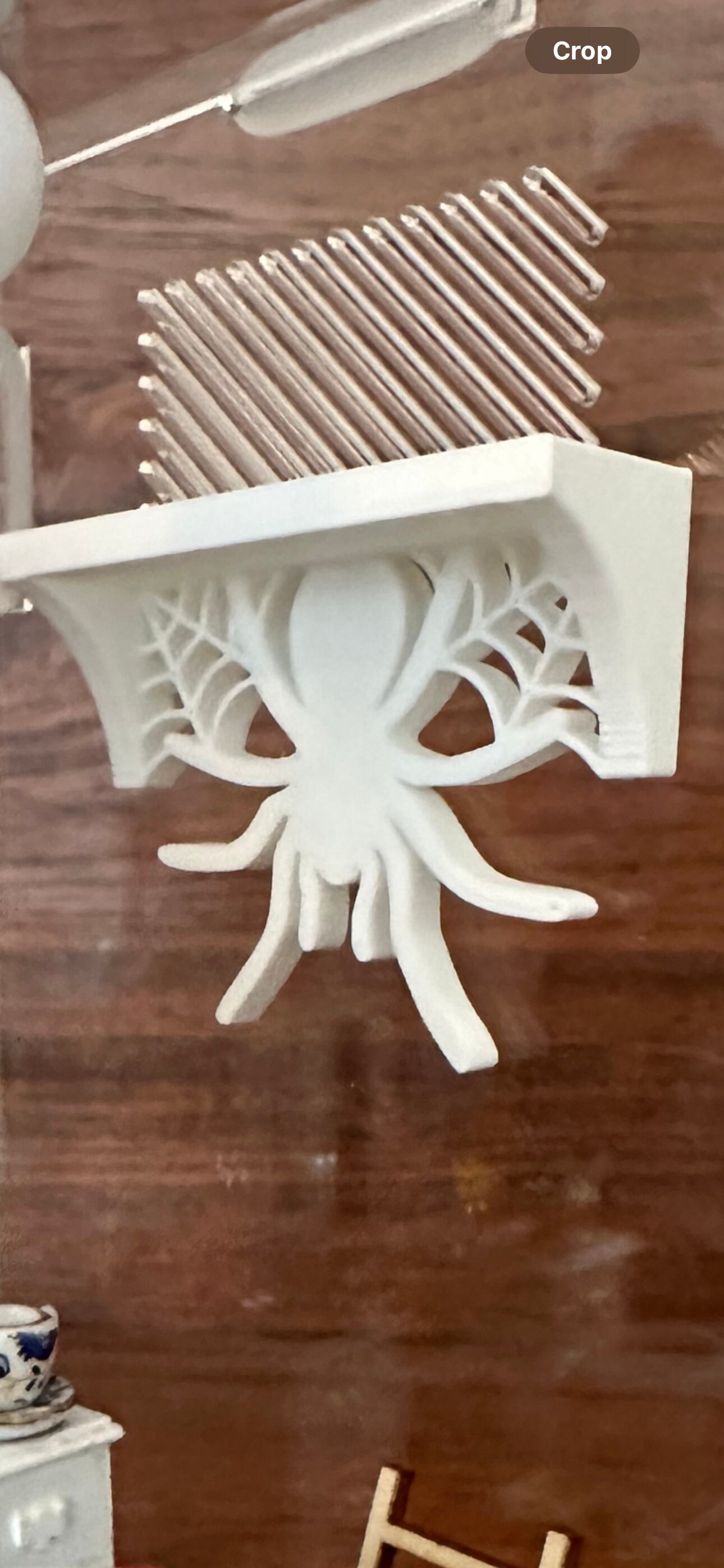 Spoodtacular 2.0 Jumping Spider Enclosure Habitat,4x4x8, Jumping Spider ...