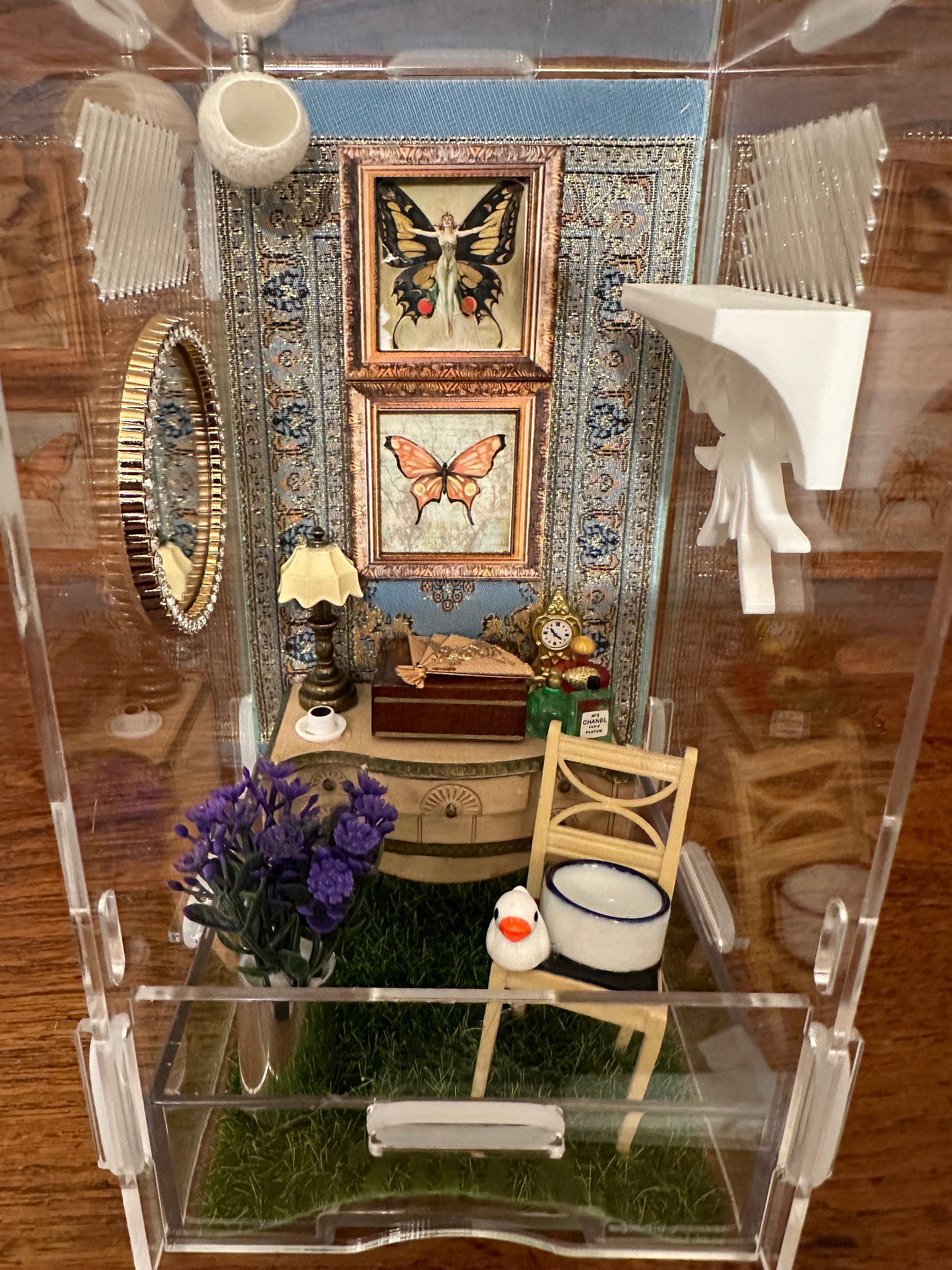 Spring Fresh Jumping Spider Enclosure Habitat,4x4x8, Jumping Spider ...