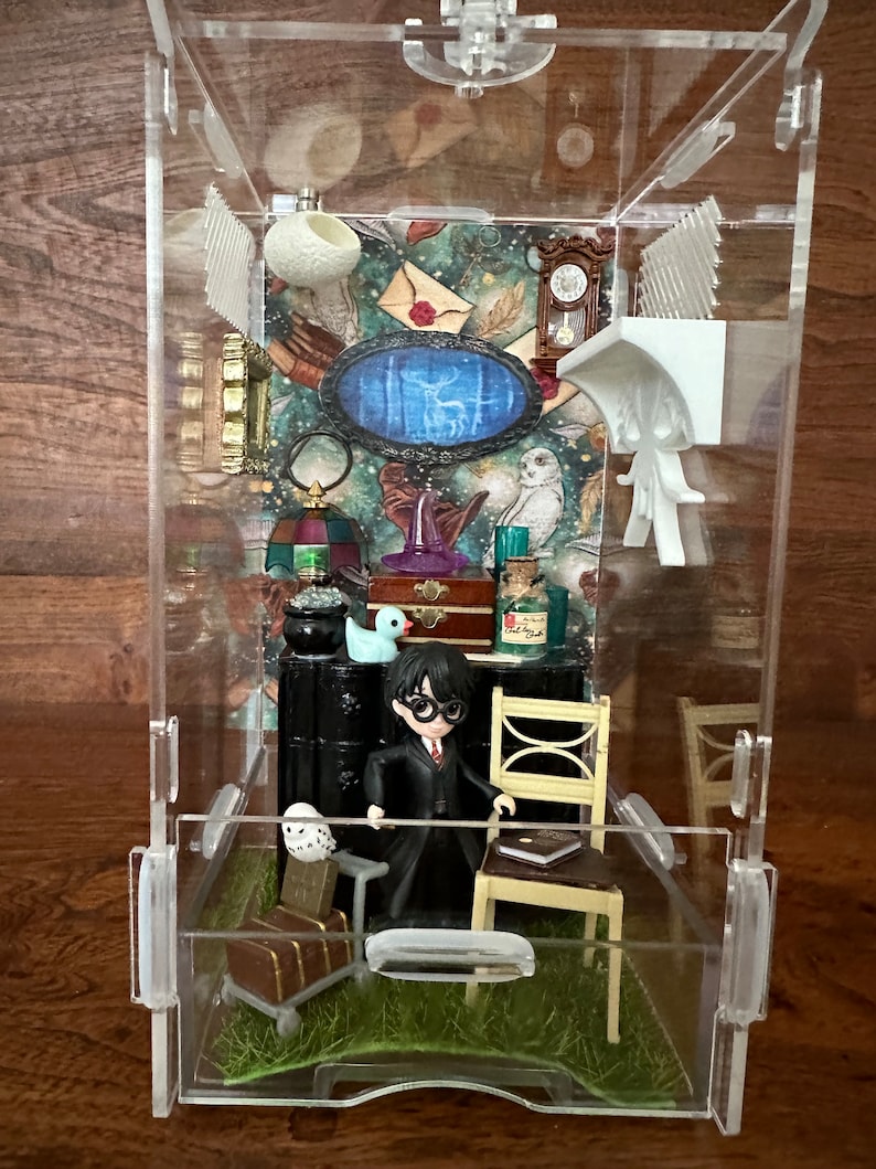 Harry Potter Jumping Spider Enclosure Habitat,4x4x8, Jumping Spider ...