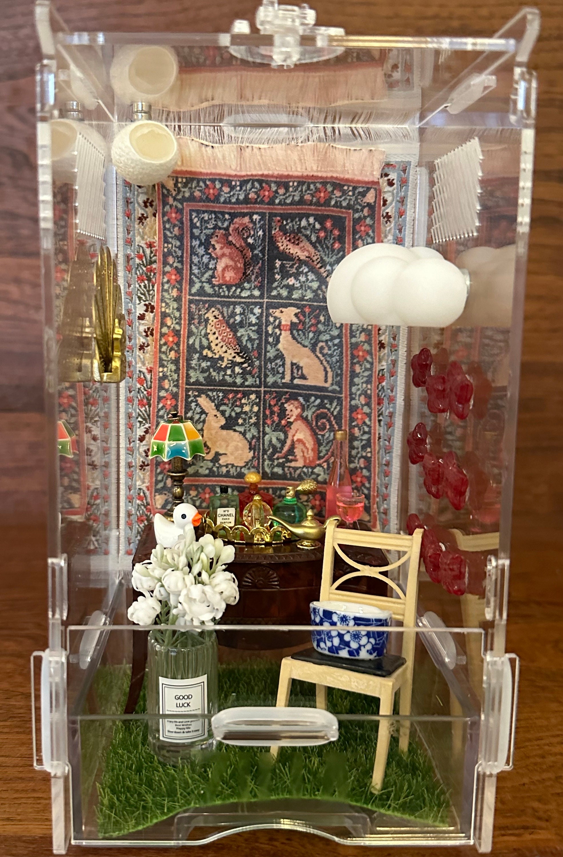 The Menagerie Jumping Spider Enclosure Habitat,4x4x8, Jumping Spider ...