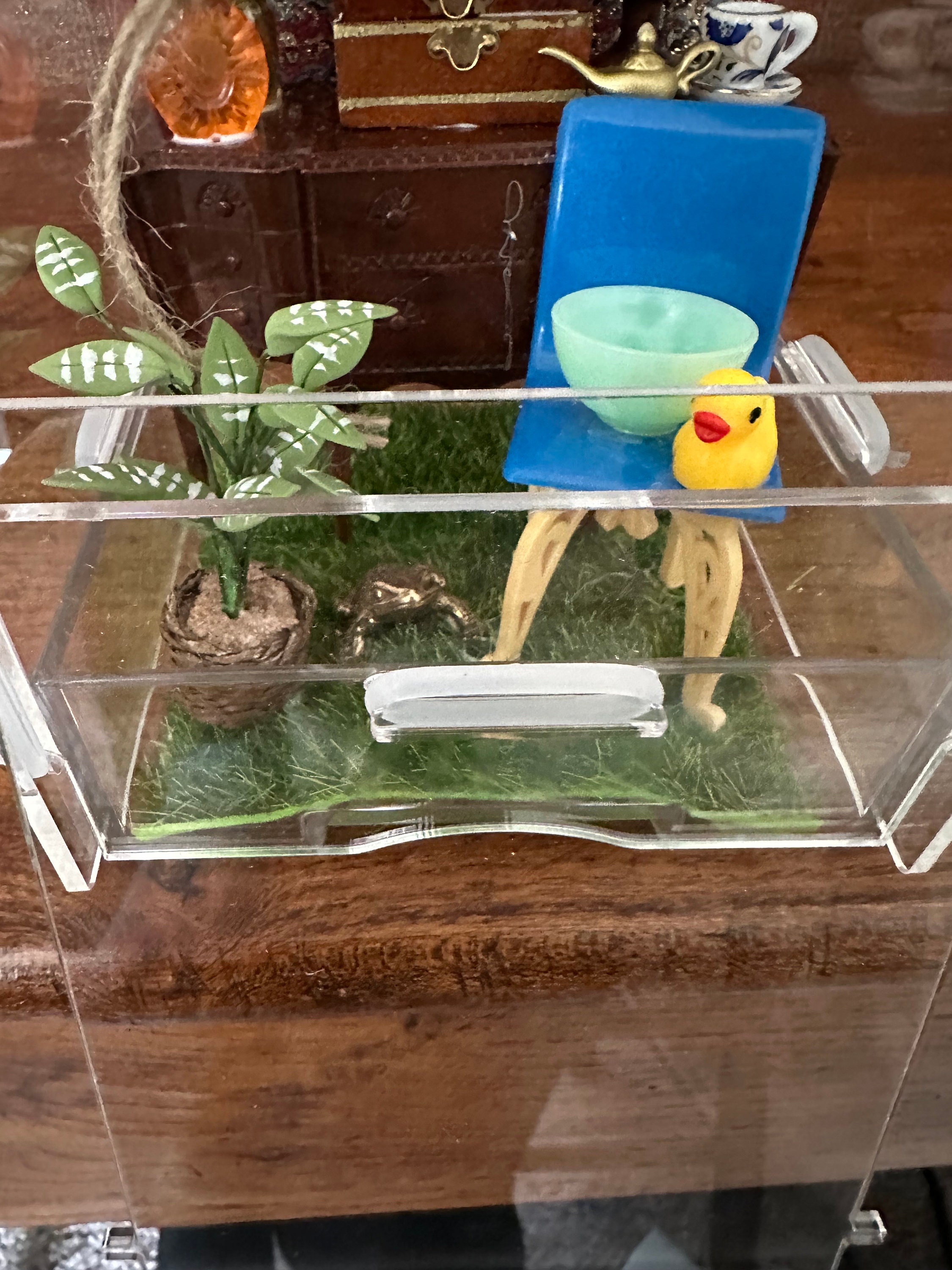 Spooder Study Jumping Spider Enclosure Habitat,4x4x8, Jumping Spider ...