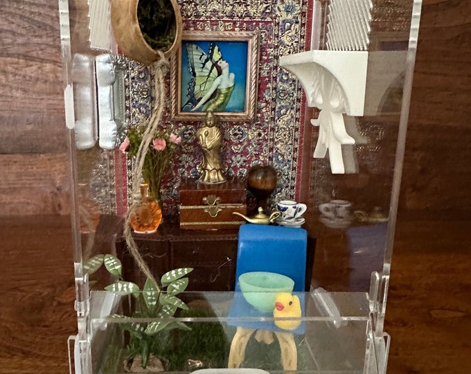 Spooder Study Jumping Spider Enclosure Habitat,4x4x8, Jumping Spider ...