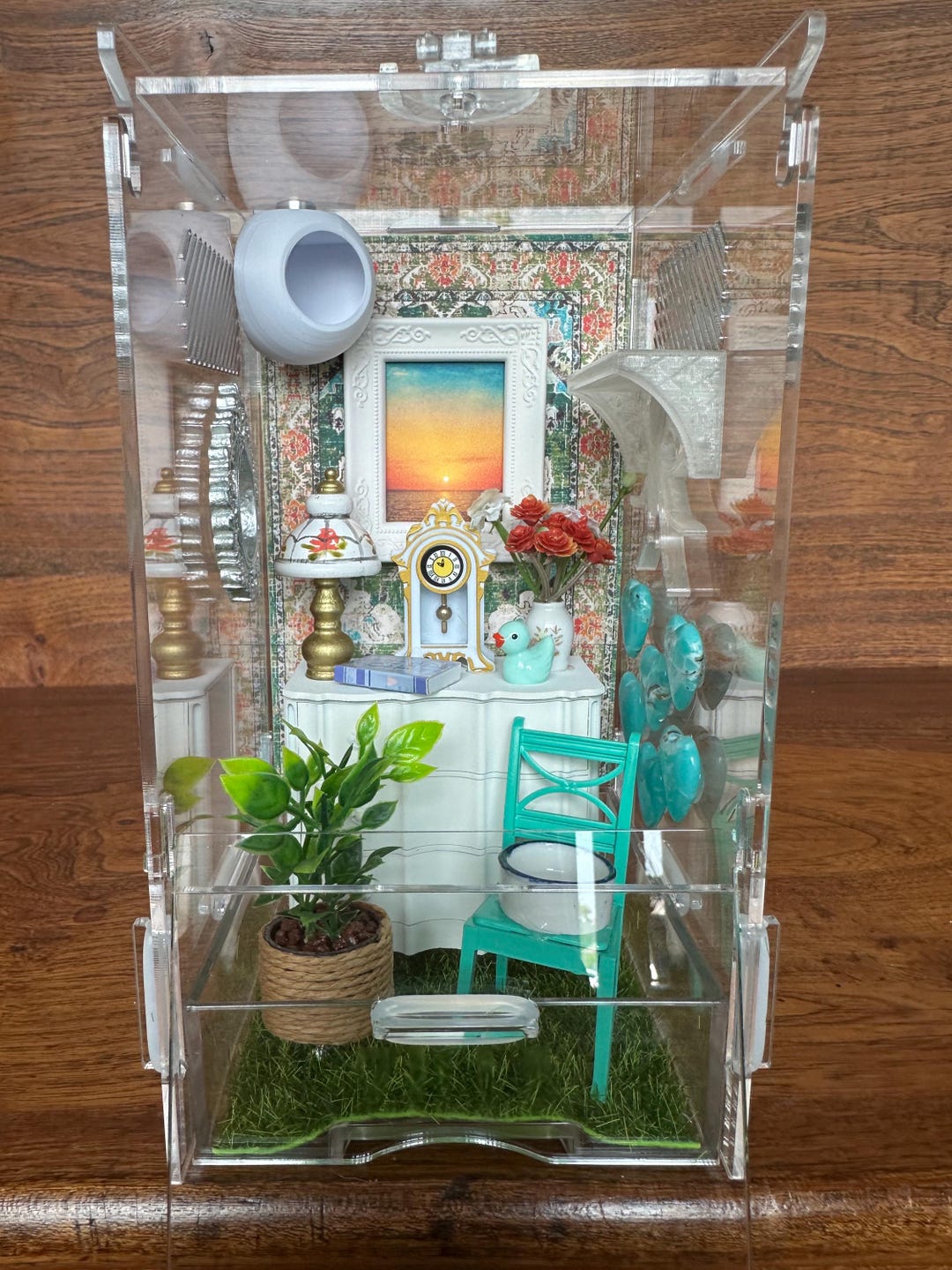 Summer Condo Jumping Spider Enclosure Habitat,4x4x8, Jumping Spider ...