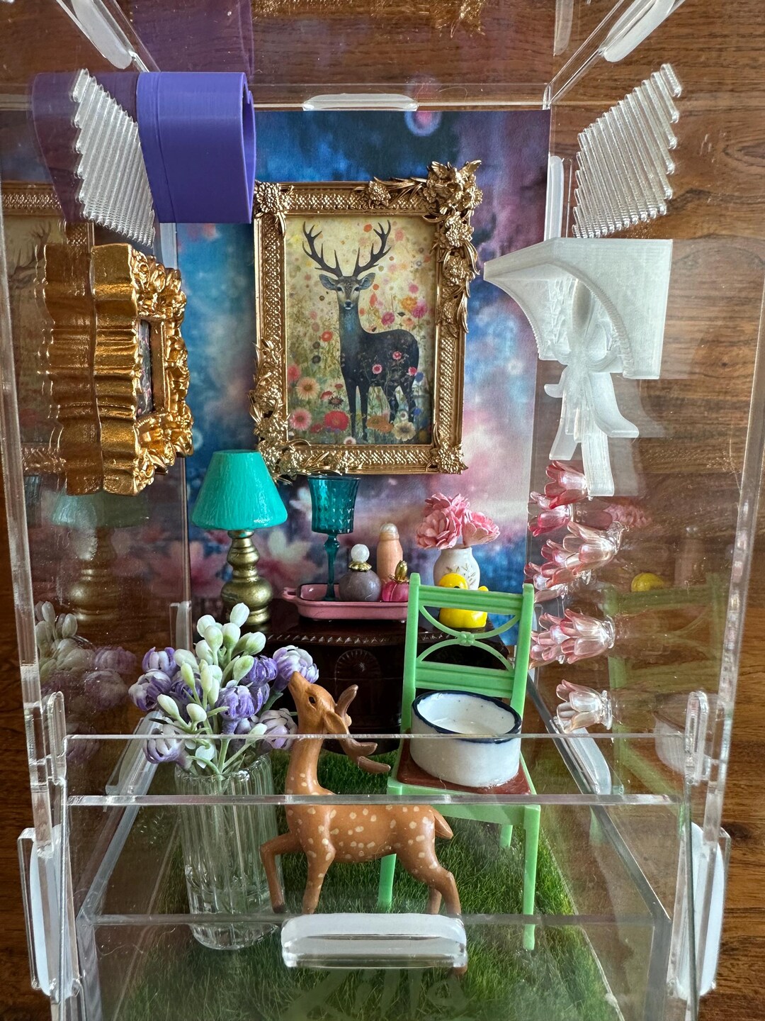 Oh Deer! Jumping Spider Enclosure Habitat,4x4x8, Jumping Spider Home ...