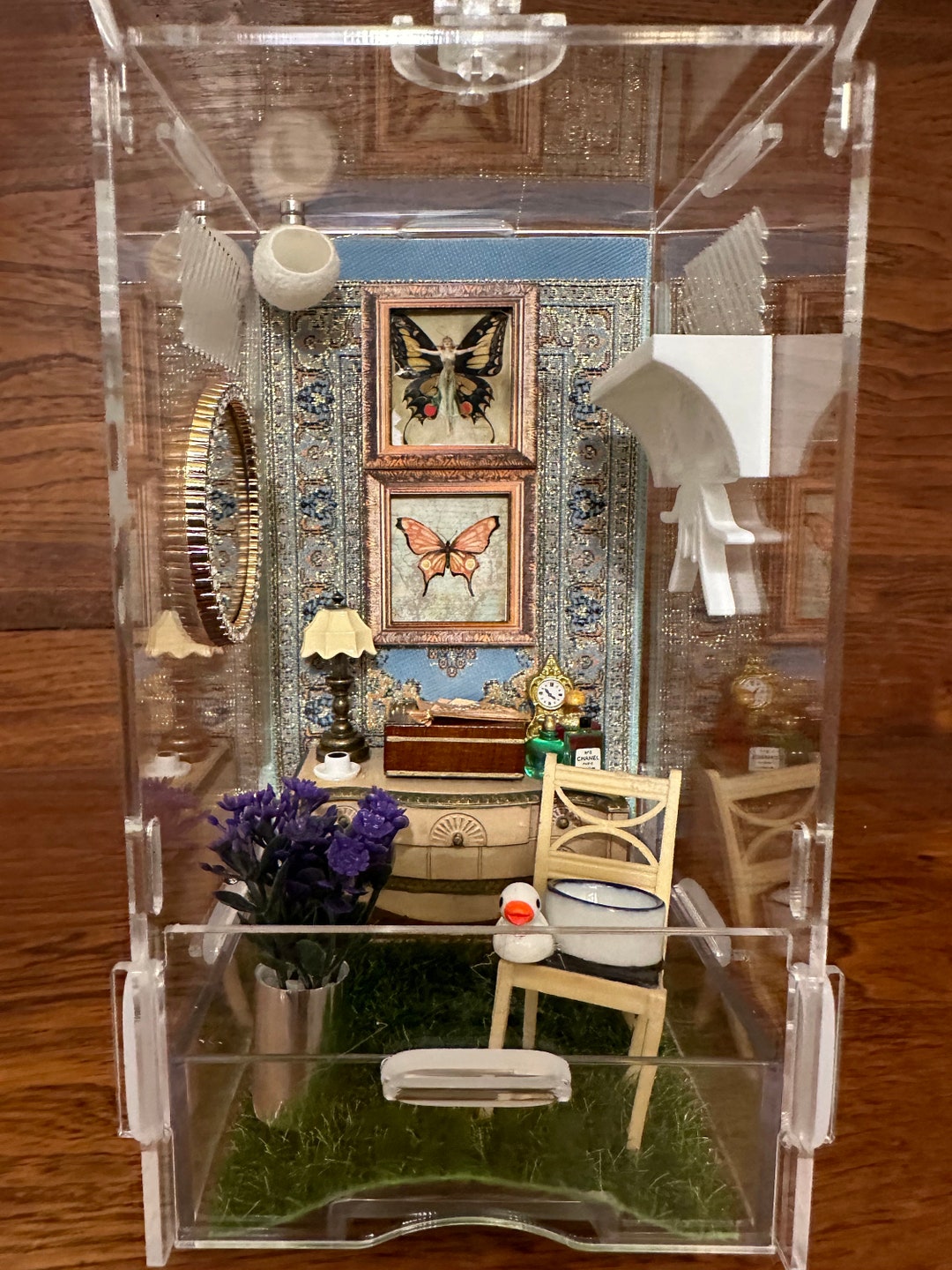 Spring Fresh Jumping Spider Enclosure Habitat,4x4x8, Jumping Spider ...