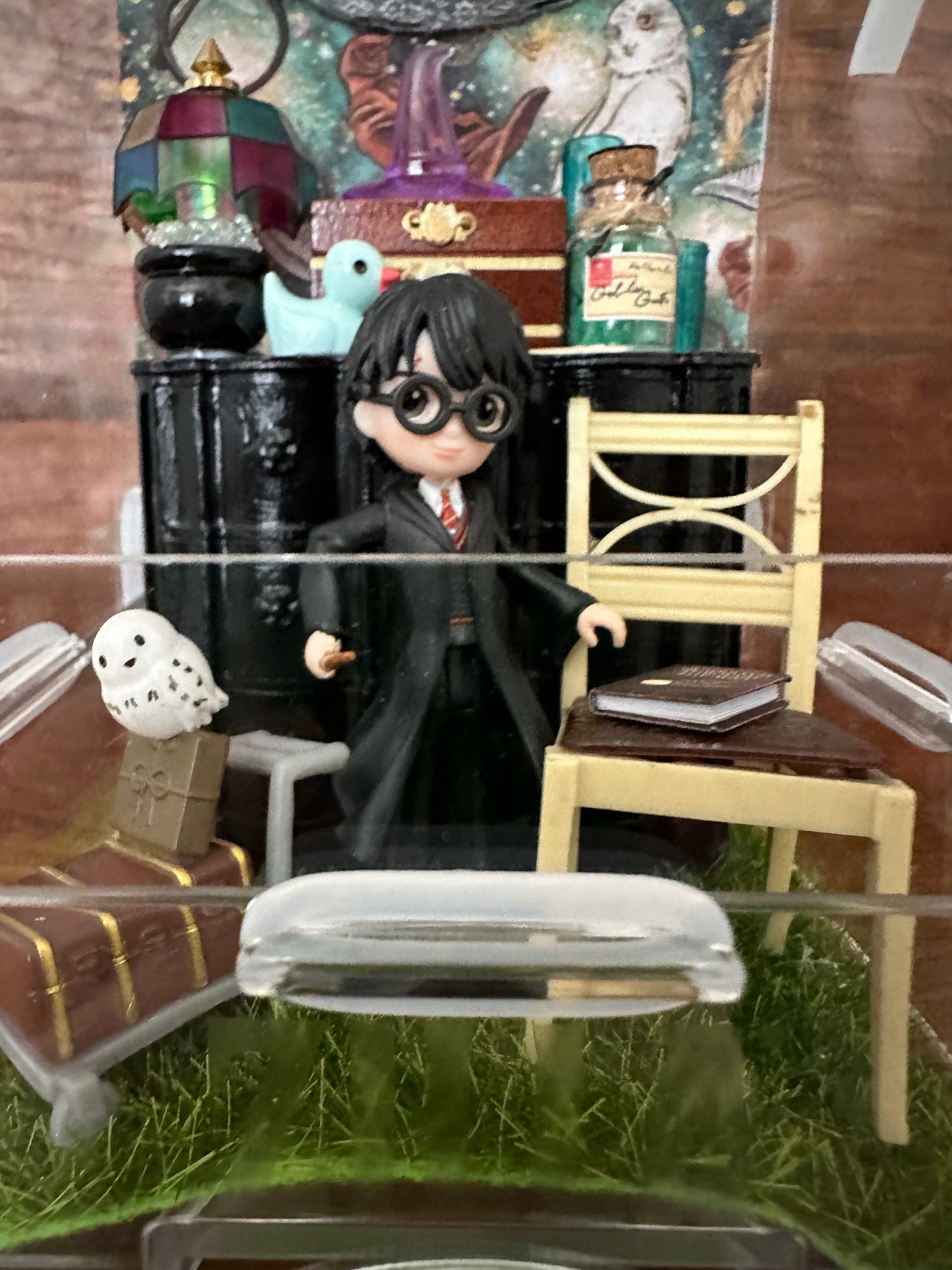 Harry Potter Jumping Spider Enclosure Habitat,4x4x8, Jumping Spider ...