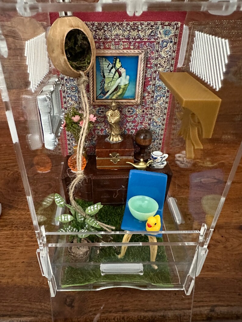 Spooder Study Jumping Spider Enclosure Habitat,4x4x8, Jumping Spider ...