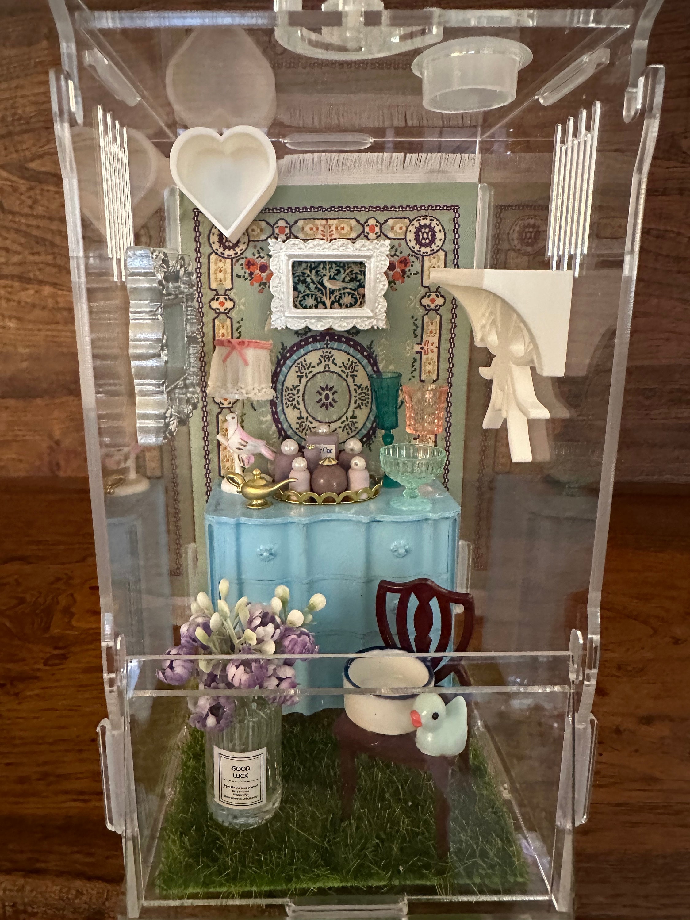 Sweet Baby Blue Jumping Spider Enclosure Habitat,4x4x8, Jumping Spider ...