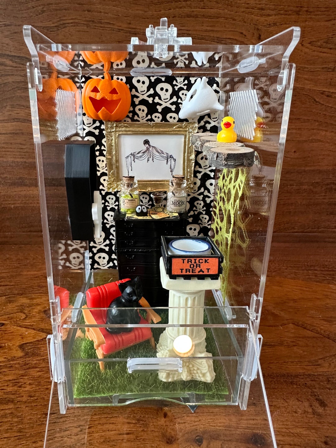 Spooky Halloween Jumping Spider Enclosure Habitat4x4x8 - Etsy